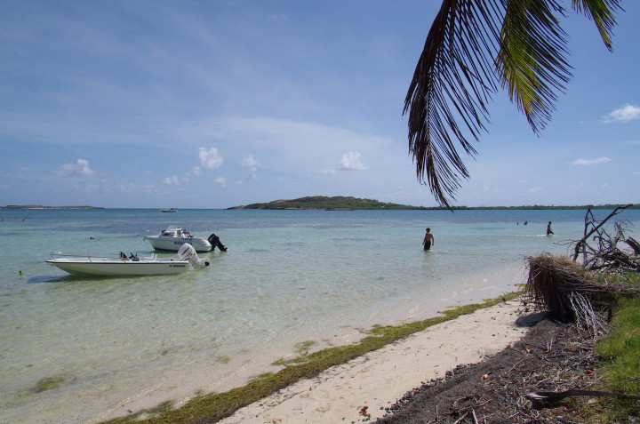Joli F2 Brin D'amour Trinité - Martinique