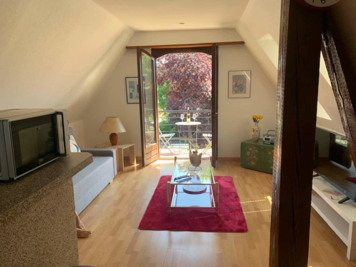 Great Apartment With Balcony, Garage And Pool. - Obernai
