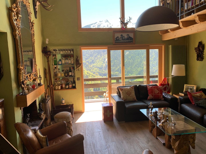 Gryon Duplex 9 Personnes Vue Panoramique - Gryon