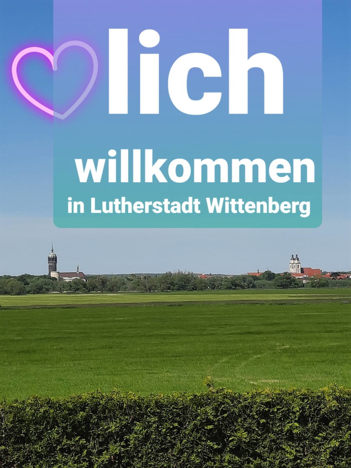 Beautiful Top Floor Apartment With View Of The Elbe Meadows - Wittenberg