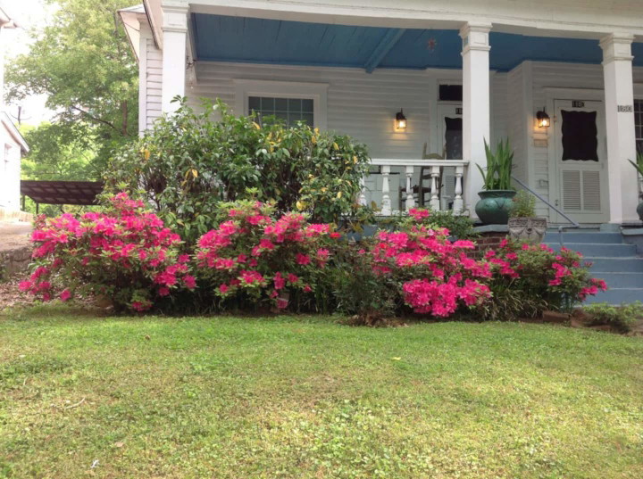 Heart Of Midtown! Private Apt By Piedmont Park - Atlanta, GA
