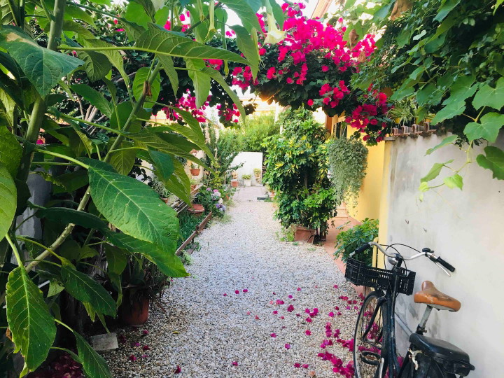 Fco 10 Mins | 24 Hrs | Quiet House - Fiumicino