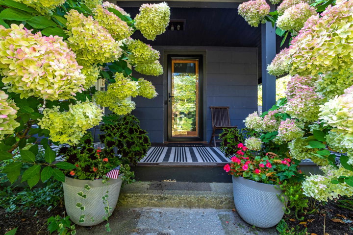 River Cottage - Riverfront Home In Walkable Commun - Great Barrington, MA