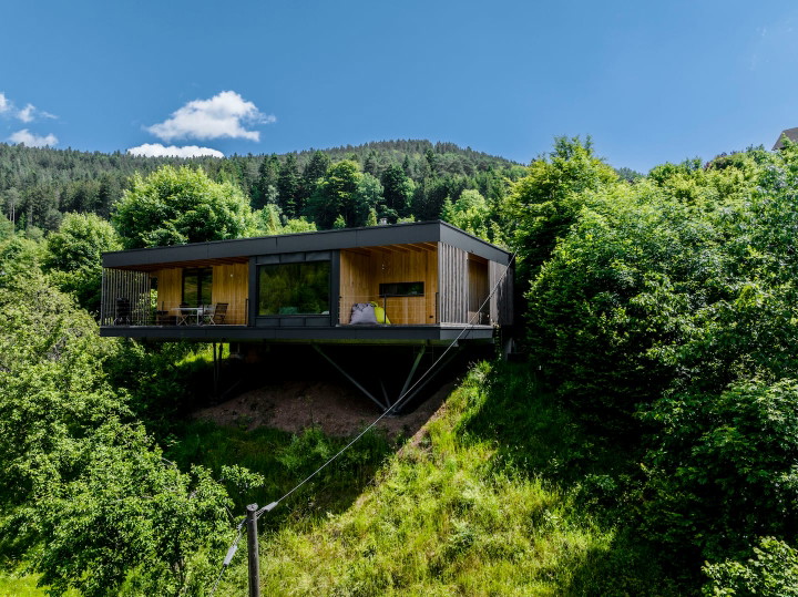 Nouvelle Maison En Bois Au Coeur De La Forêt Noire - Alpirsbach
