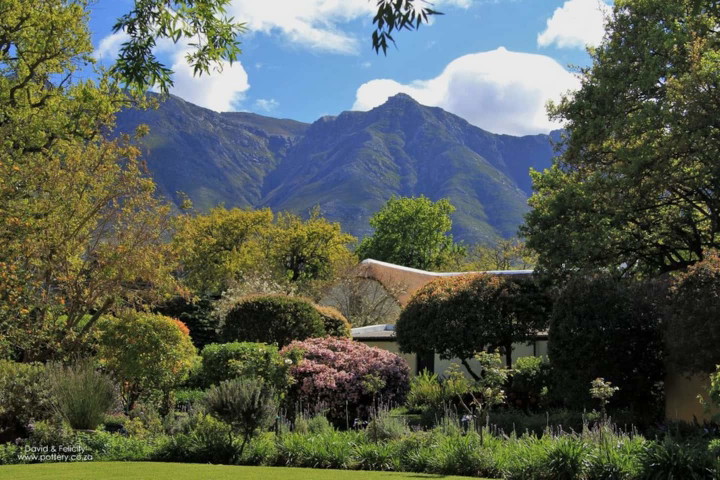 Swellendam Guesthouse - Bukkenburg - Swellendam