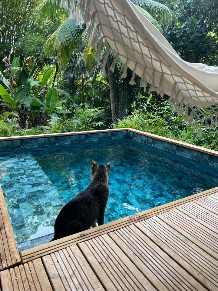 Jungle Kaz, Private Pool - Guadalupe