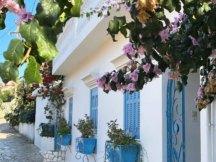 Blue Flower | Reginas Studios In Central Fiscardo - Fiskardo