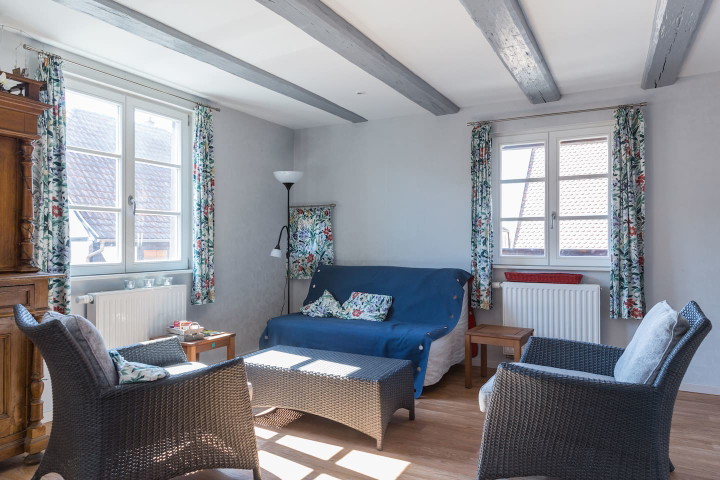 Martine En Alsace , Beau Gite**, Maison Alsacienne - Sélestat
