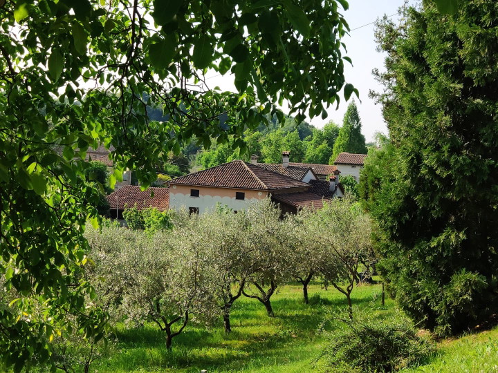 Appartamento Vacanza "Casa Cotogna" - Asolo