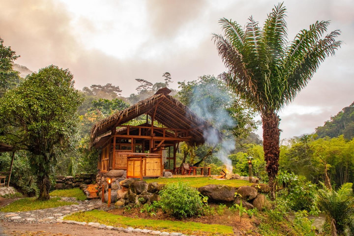 Remote Luxurious Riverside Jungle Retreat/farmstay - Ecuador
