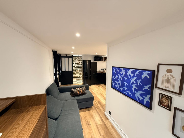 Le Petit Pasteur "Appartement Climatisé" - Dole