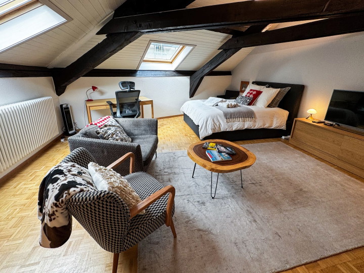 Studio Centre Jet Deau Et Vieille-ville 24 Pers - Geneva