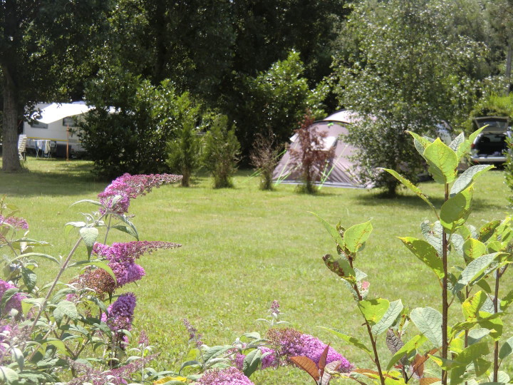 Emplacement Nu De Camping Proche Du Vignoble - France