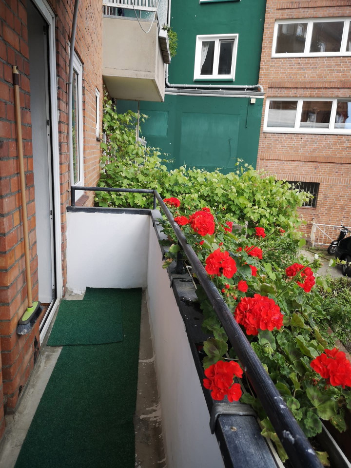 Helle 2 Zimmer Wohnung Am Kieler Innenstadt 52 M2 - Kiel