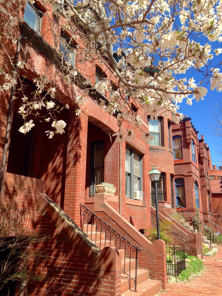 Dupont 1br: Spacious, Stylish, Walkable - Bethesda, MD