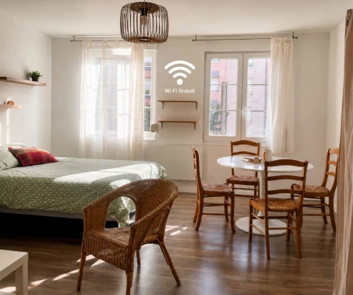 Apartment .Strasbourg Centre - Strassburg