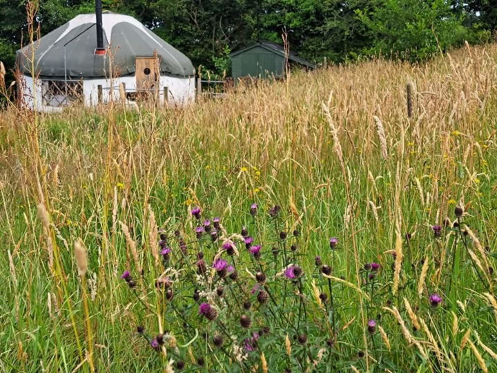 Hawthorn Yurt Glamping At Olchon Valley Campsite - Vereinigtes Königreich