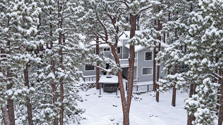 Wolf Retreat: Arcade, Spa, Ping-pong + Hidden Room - Flagstaff, AZ