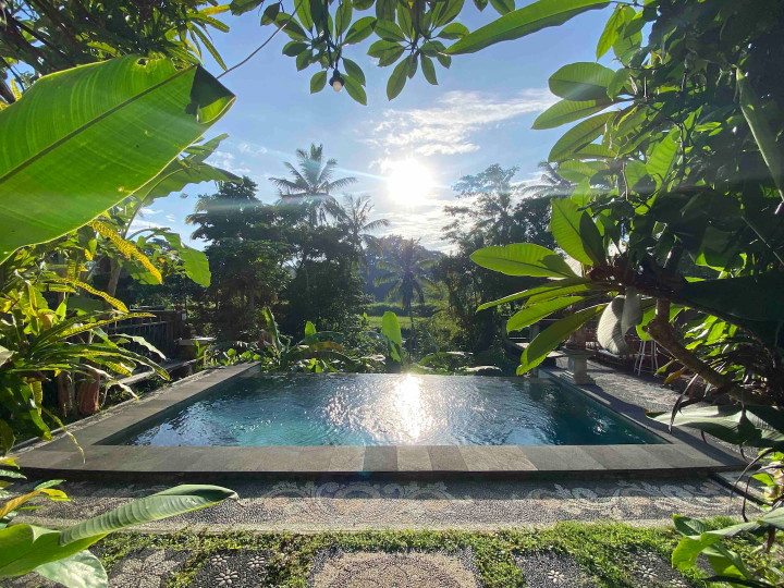 1br With Stunning Pool View In The Morning - Ubud