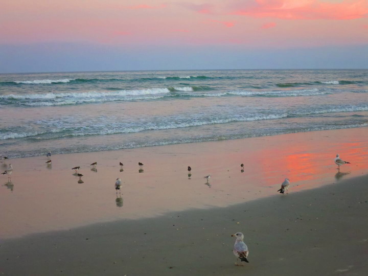 Beachside Retreat**steps To The Beach**heated Pool - Cocoa Beach, FL