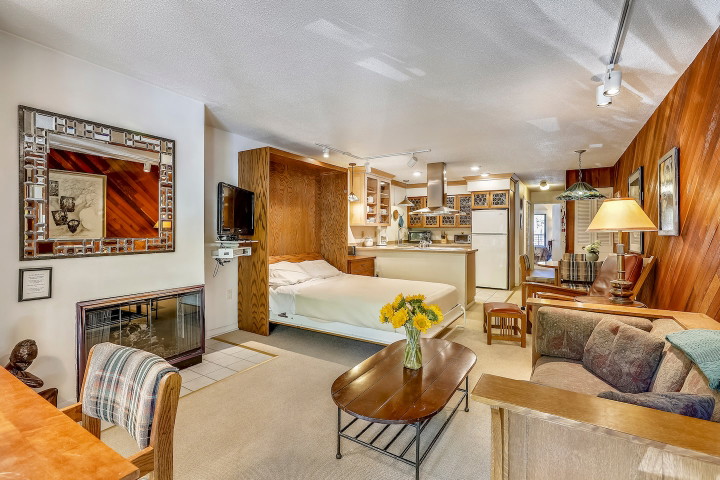 Aspen Extreme Condo With Prime Downtown Location - Aspen, CO
