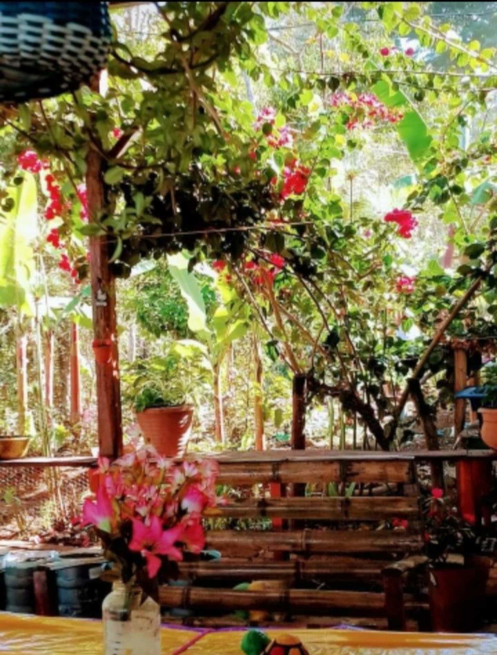 Matagalpa Serene Cabin Retreat Experience. - Nicaragua