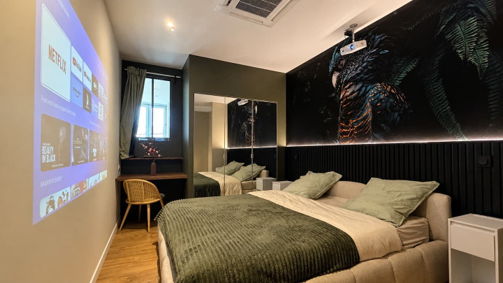 Suite Cacatoès Duplex Design Cinéma Parking - Saint-Etiénne