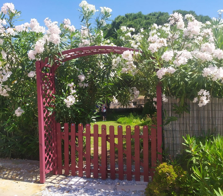 Maison Et Jardin D'agrément Clos 50 M De La Plage - Cargèse