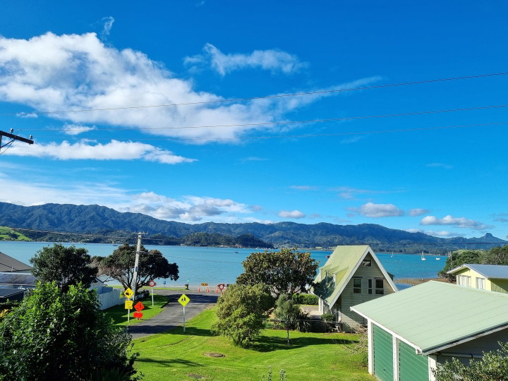 Dandelion Sweet - Coromandel