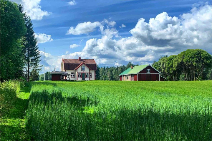 Vesamaa - Pirkanmaa
