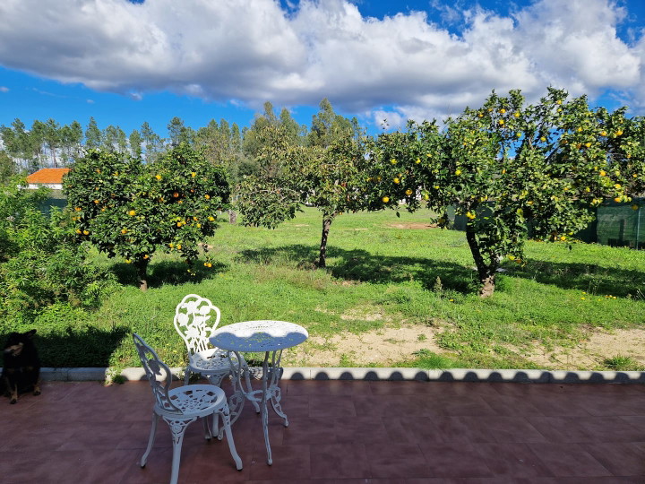 Landelijke Vakantiewoning - Mação