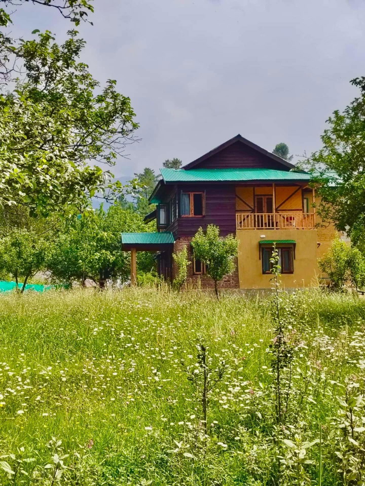 Wooded Nook  The Hidden Glade - Gulmarg