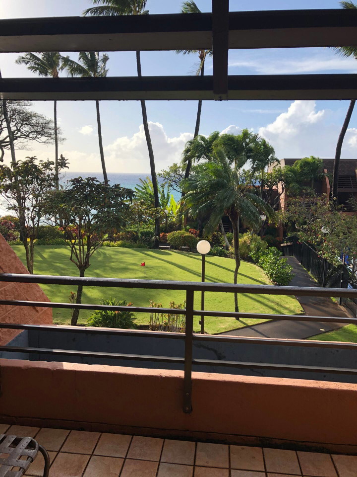 Kuleana Ocean View 1 Br Condo - Maui, HI