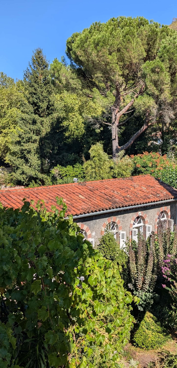 Un Gîte Charmant En Ville Et Proche - Mazamet