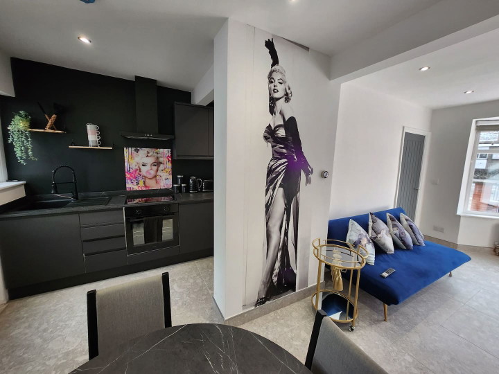 'The Monroe' Belfast Hot-tub House - Belfast