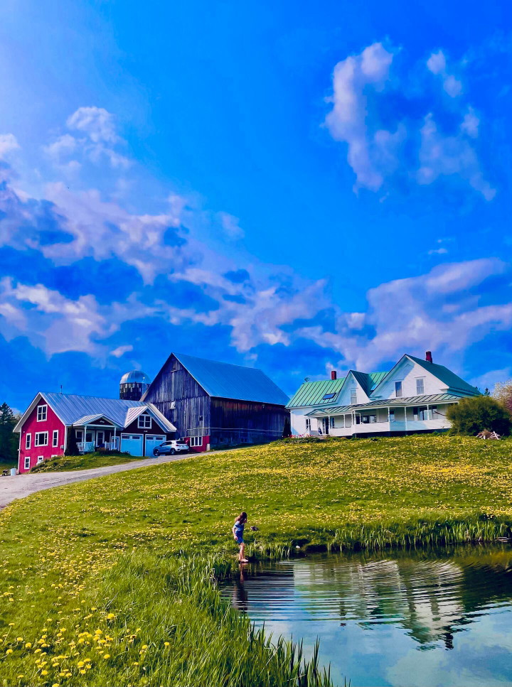 Blueberry Cottage - Vermont