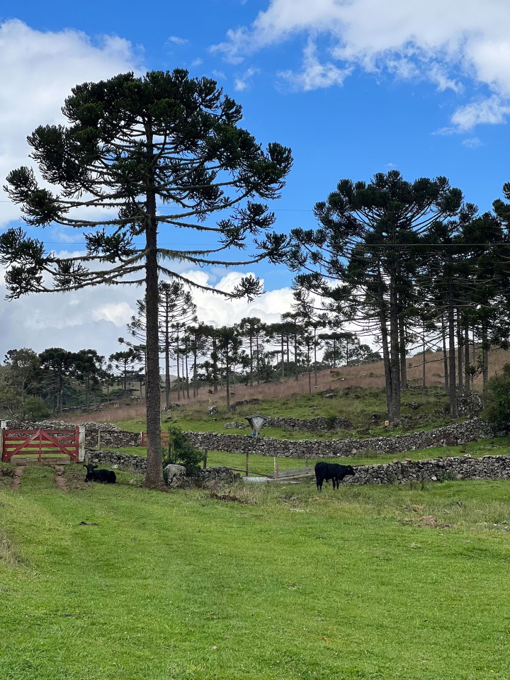 Fazenda Chácara Santa Bárbara - Bom Jardim da Serra