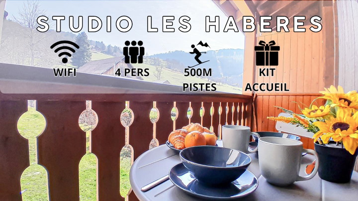 Y'hôtes- Studio Proche Pistes Ski & Vtt - Bellevaux