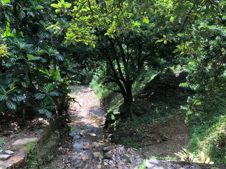 2b - St. Ann's - In Gated Community Near Savannah - 포트오브스페인