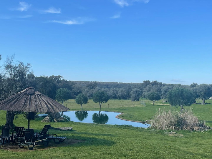 Country House Rogeos - De Patrijs - Alentejo