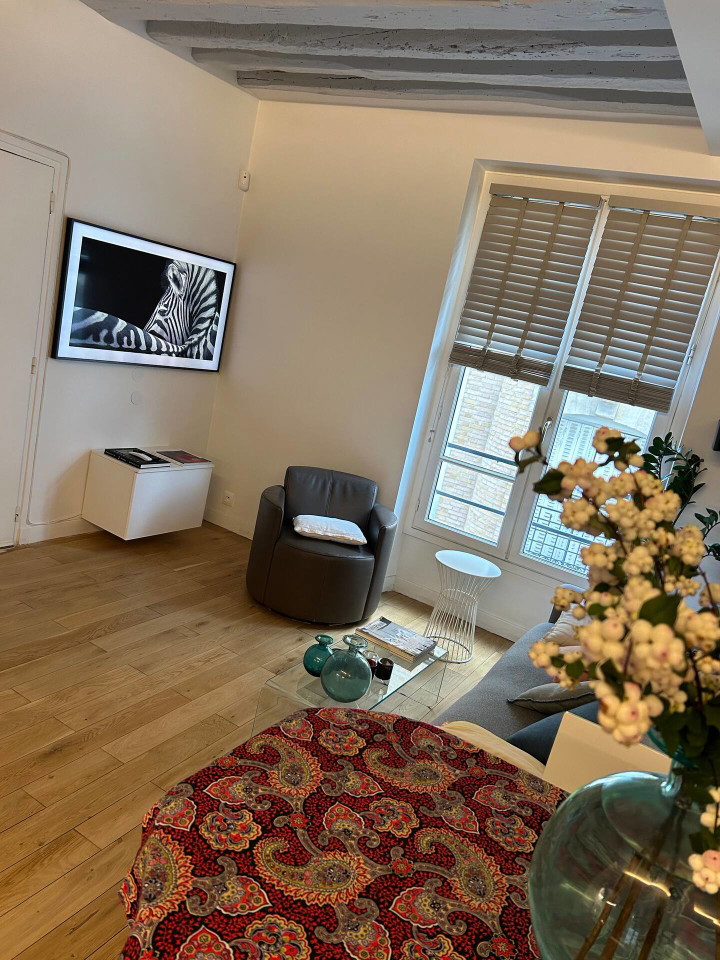 Amazing Apartment In The Heart Of Paris ! - Louvre Museum