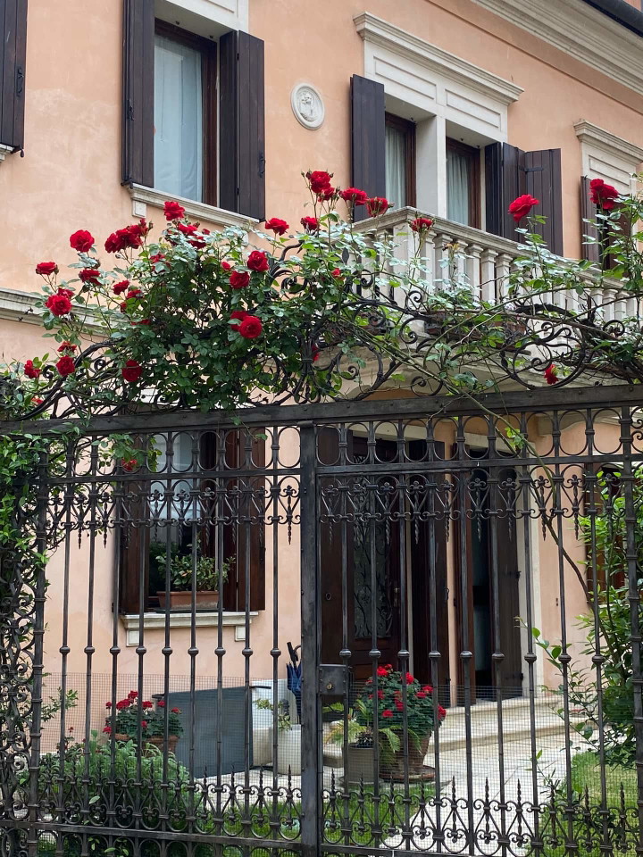 Beau Confortable Studio Felisati - Venise