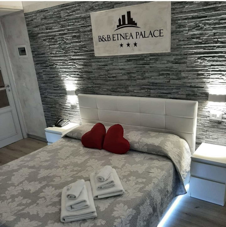 B&b Etnea Palace 
Viverti Il Centro Della Città - Nicolosi