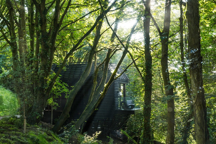 Woodland Suites @ The Montenotte - Cork