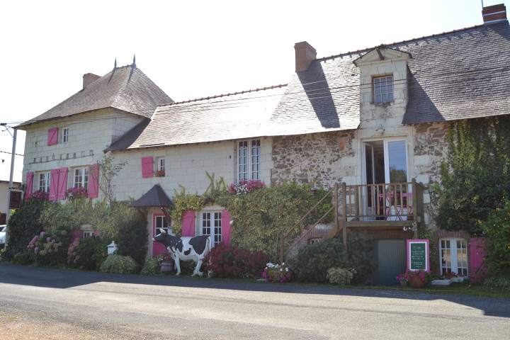 Logis Au Fil De L'eau (Face Loire) - Chalonnes-sur-Loire