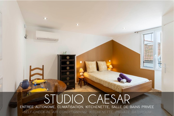 Studio Caesar - Air Conditioning - Arles