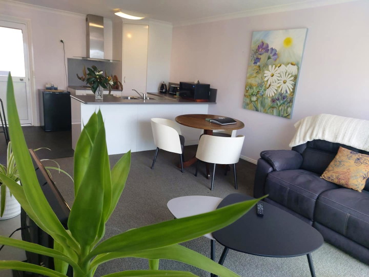 "Castella" Apartment 2 On Hiscutt Park - Tasmanie