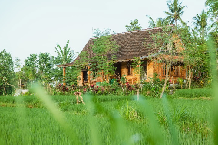 Organic Farm Wooden Bungalow 2bedroom & Kitchen - Sidemen