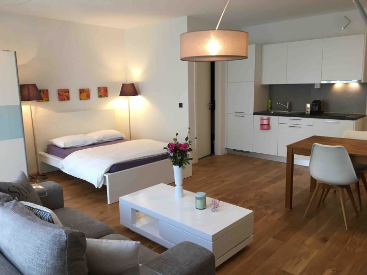 Modern And Spacious Studio - Morges