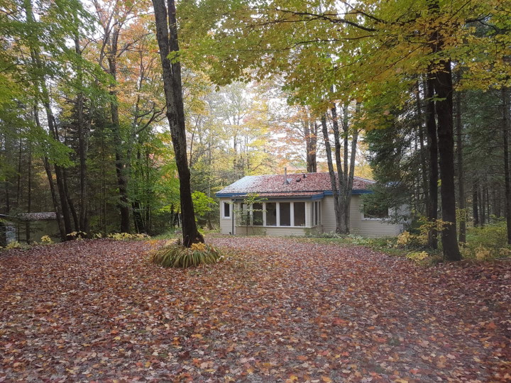Nature Retreat In The Woods - Kawartha Lakes